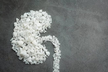 Protein Essentials for Kidney Health: An Overview of Renal Friendly ...